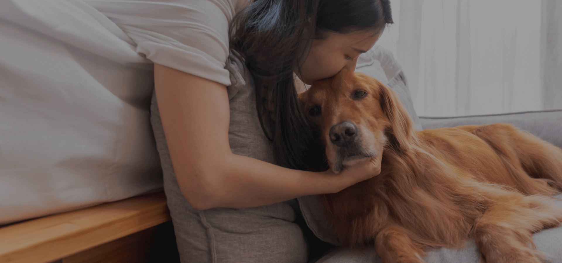 Payment Options at Willowcreek Animal Hospital